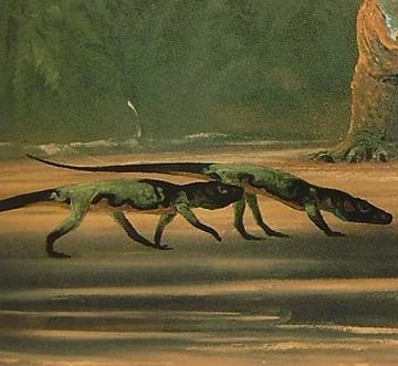 euparkeria predators