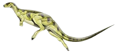 Dryosaurus | Jurassic Park Institute Wiki | Fandom
