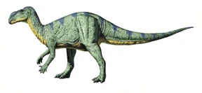 Muttaburrasaurus | Jurassic Park Institute Wiki | Fandom