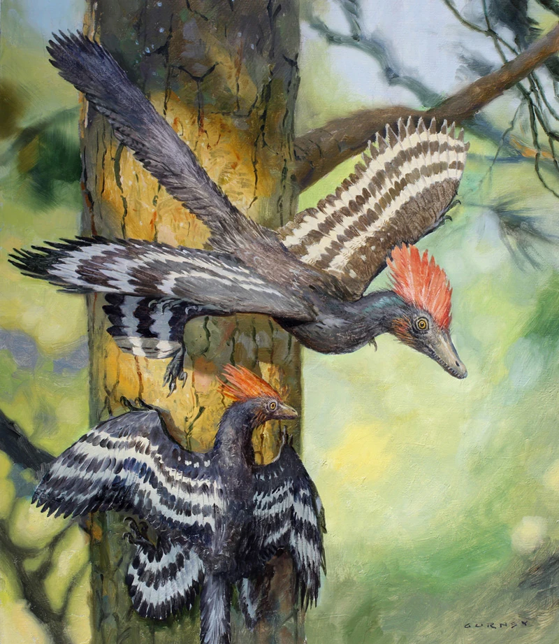 Anchiornis | Jurassic Park Institute Wiki | Fandom