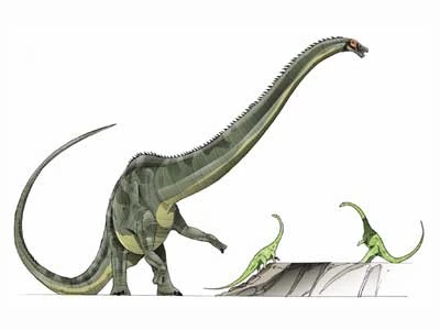 Diplodocus | Jurassic Park Institute Wiki | Fandom
