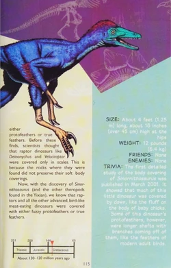 Sinornithosaurus Size