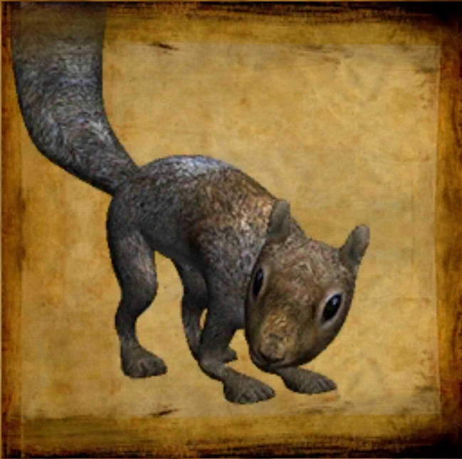 Squirrel | Jurassic Apps Wiki | Fandom