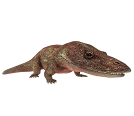 Eryops | Jurassic Park Wiki | Fandom