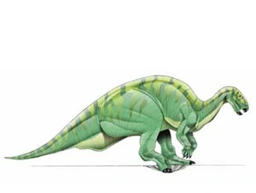 Camptosaurus Size