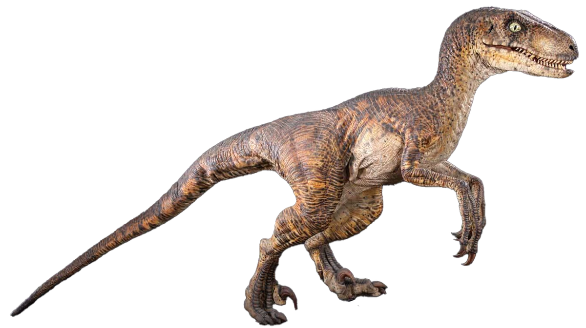 Velociraptor/Films | Jurassic Park Wiki | Fandom