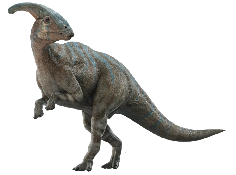 Parasaurolophus | Wikia Jurassic Park | Fandom