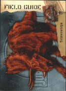 Triceratops Cards | Jurassic Park Wiki | Fandom