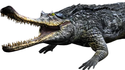 Discuss Everything About Jurassic Park Wiki | Fandom