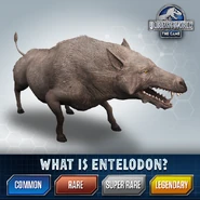 Entelodon | Jurassic Park Wiki | Fandom