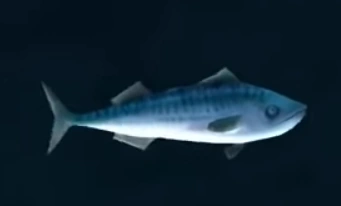 Striped Bonito | Jurassic Park Wiki | Fandom