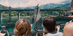Jurassic World Mosasaur Feeding Show