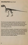 Velociraptor/Books | Jurassic Park Wiki | Fandom