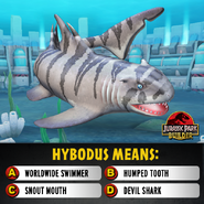 Hybodus | Jurassic Park Wiki | Fandom