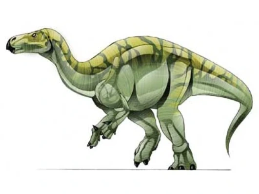 Fukuisaurus