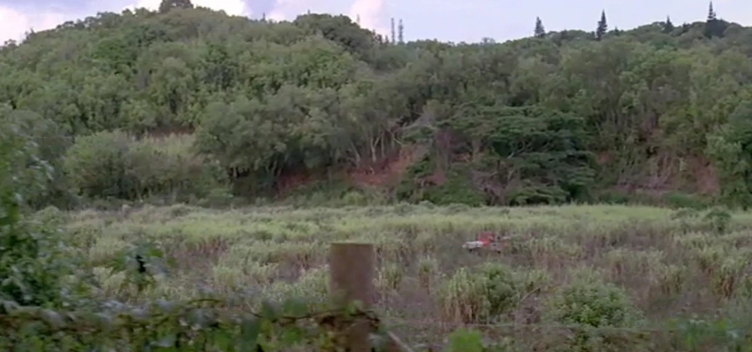 Jurassic Park Dilophosaurus Paddock