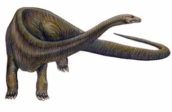 Diplodocus | Wikia Jurassic Park | Fandom