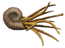 Ammonite | Jurassic Park Wiki | Fandom