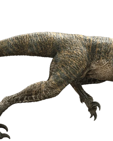 Velociraptor Größe Jurassic Park