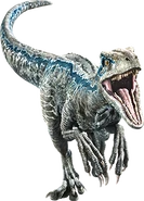 Blue | Jurassic Park Wiki | Fandom