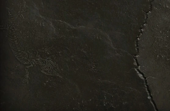 Ardeosaurus | Wikia Jurassic Park | Fandom