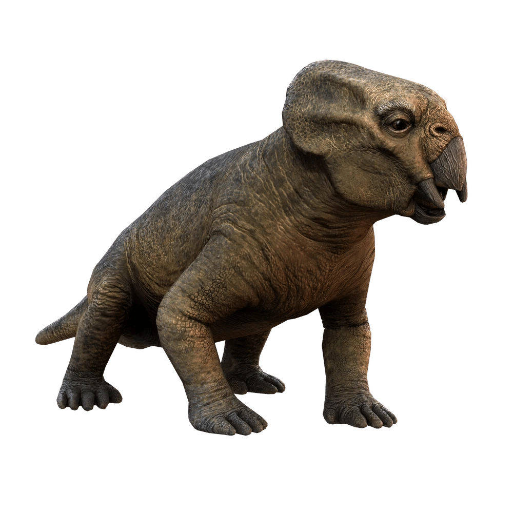 Lystrosaurus | Wikia Jurassic Park | Fandom