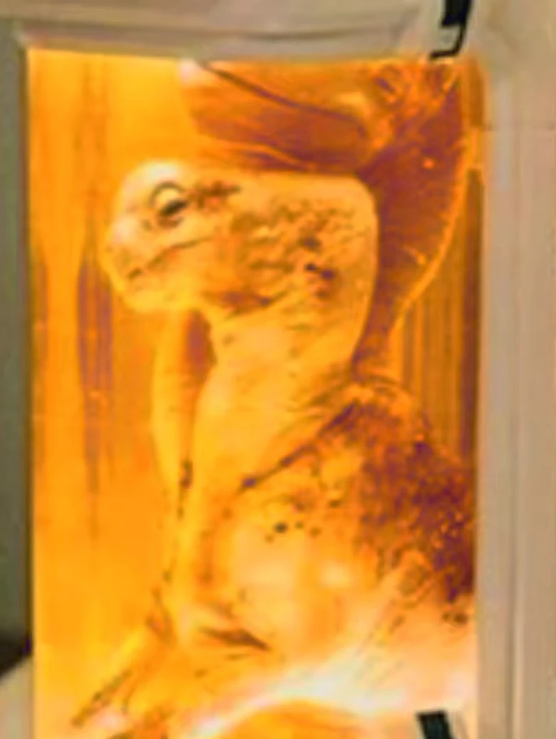 Two-headed Brachiosaurus | Jurassic Park Wiki | Fandom