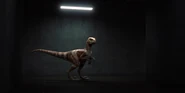 Red | Jurassic Park Wiki | Fandom