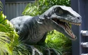 Bravo | Jurassic Park Wiki | Fandom