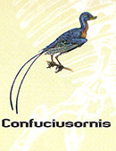 Confuciusornis | Jurassic Park Wiki | Fandom