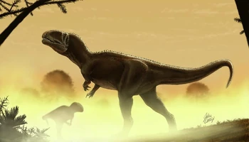 Eocarcharia | Jurassic Park Wiki | Fandom