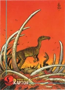 Procompsognathus | Jurassic Park Wiki | Fandom