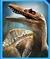 Spinoconstrictor/JW: A | Jurassic Park Wiki | Fandom