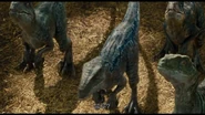 Echo | Jurassic Park Wiki | Fandom