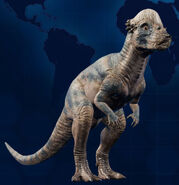 Pachycephalosaurus/JW: E | Jurassic Park Wiki | Fandom