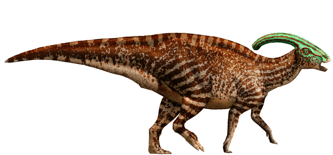 Parasaurolophus | Wikia Jurassic Park | Fandom