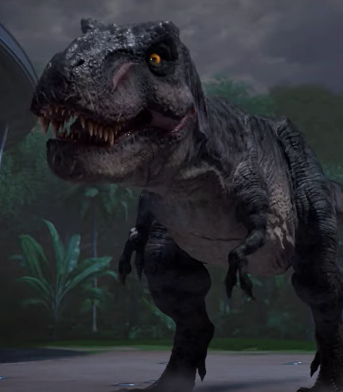 Comelona Grande | Jurassic Park Wiki | Fandom