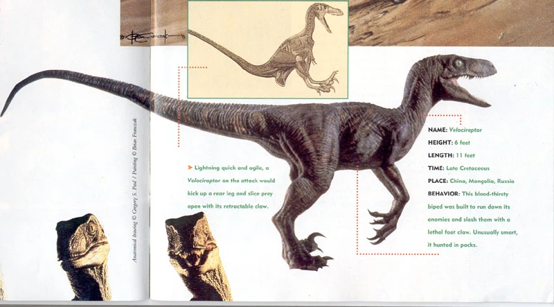 Jurassic Park Raptor Effects | Jurassic Park Wiki | Fandom