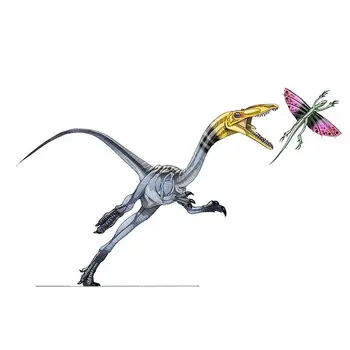 Grallator | Jurassic Park Wiki | Fandom