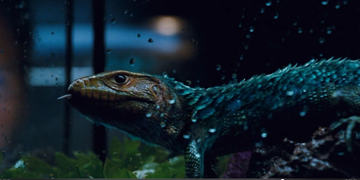 Northern Caiman Lizard | Jurassic Park Wiki | Fandom