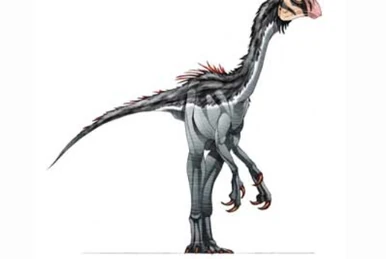 stokesosaurus weight