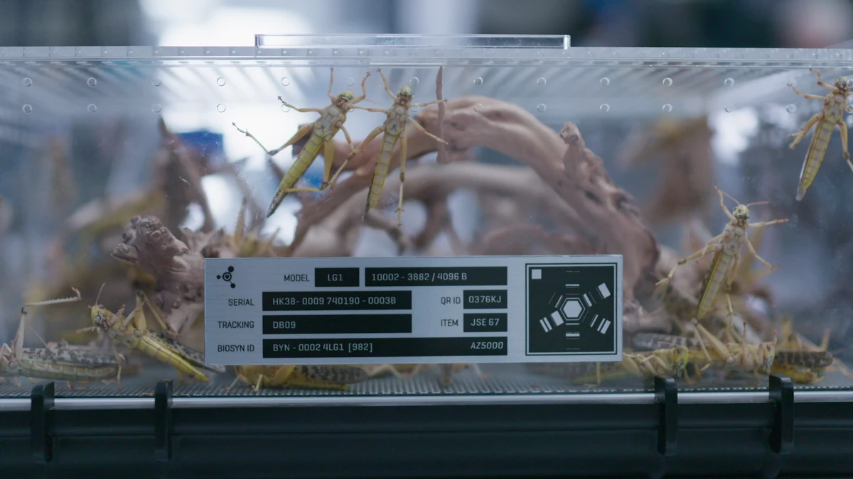 Война "Железные Мечи" | Страница 7649 | WarOnline.org | Израильский Военно-Исторический Форум