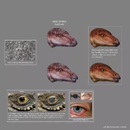 Kentrosaurus | Jurassic Park Wiki | Fandom