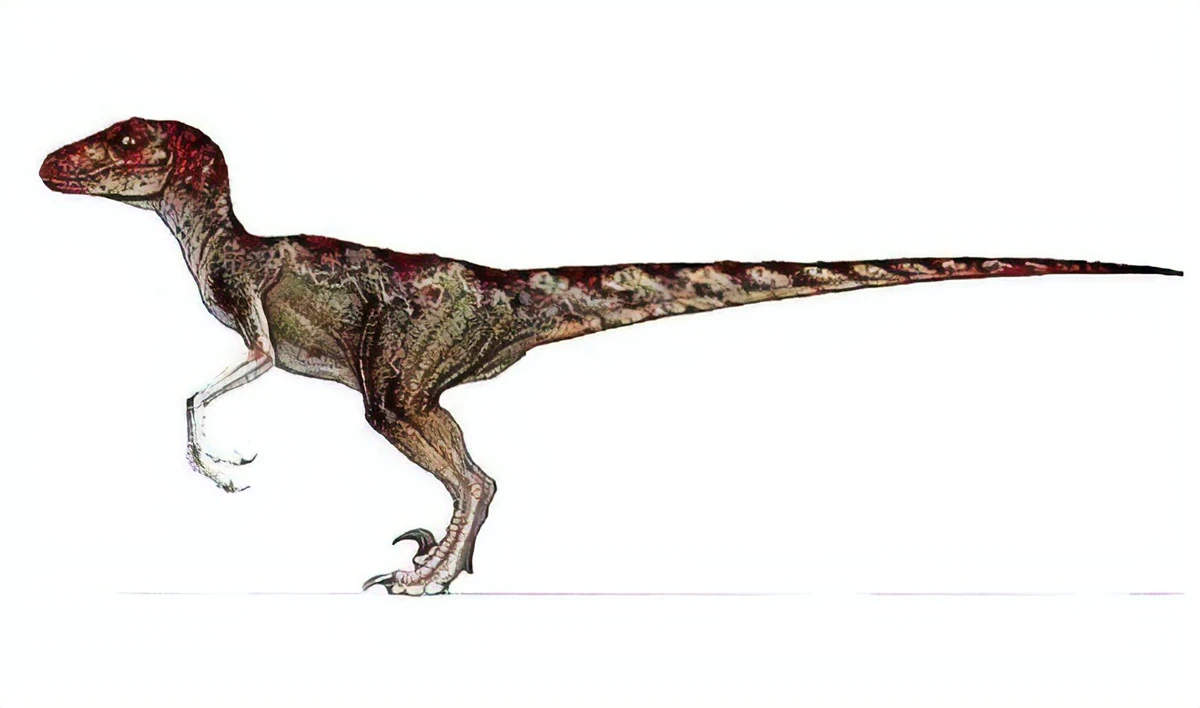 Velociraptor/Gallery | Jurassic Park Wiki | Fandom