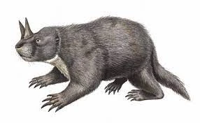 Ceratogaulus | Jurassic Park Wiki | Fandom