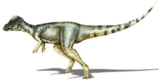 Alaskacephale | Jurassic Park Wiki | Fandom