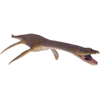 Plesiosaurus | Jurassic Park Wiki | Fandom