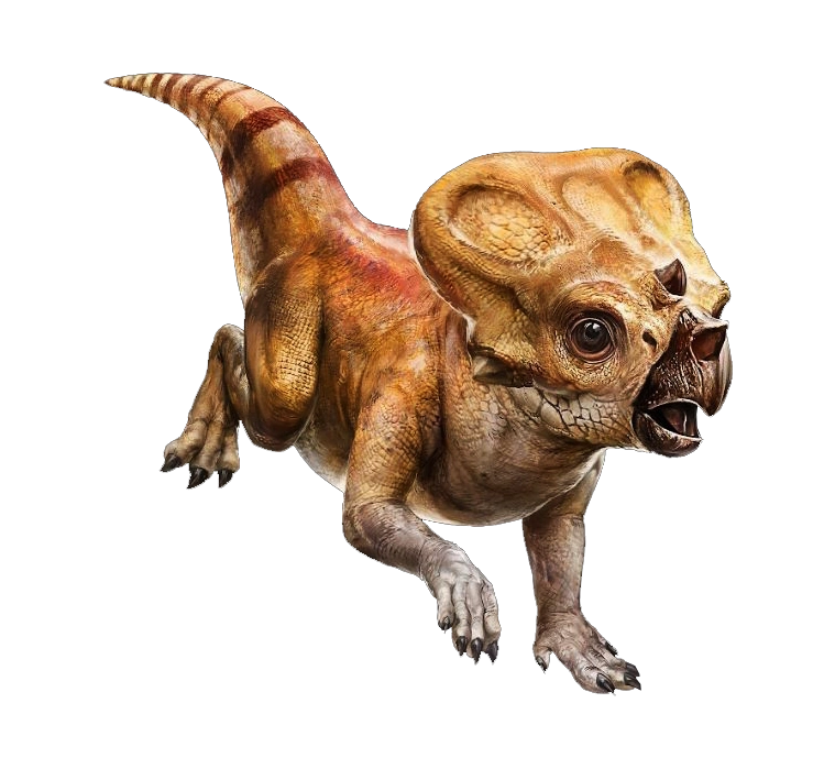 Aquilops | Jurassic Park Wiki | Fandom