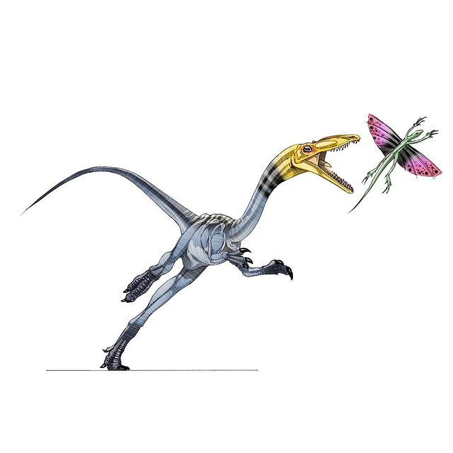 Grallator | Jurassic Park Wiki | Fandom