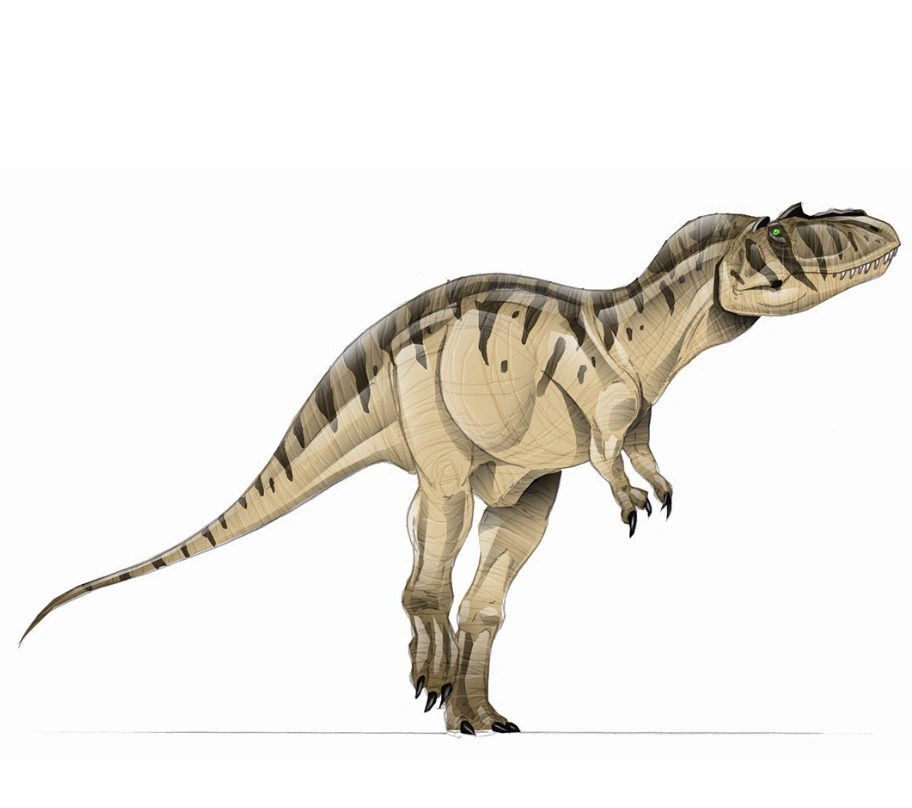 Albertosaurus Jurassic Park Builder